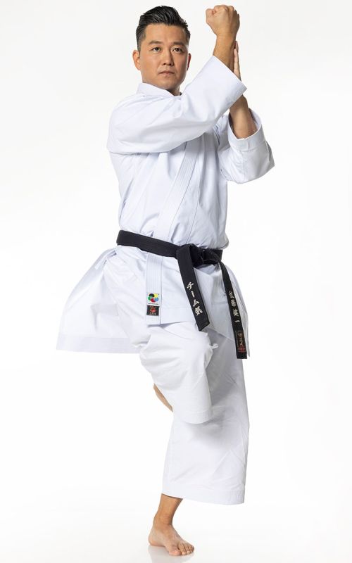 Karategi, TOKAIDO Kata Master SEN, made in Japan, WKF, 10 oz | Karate ...