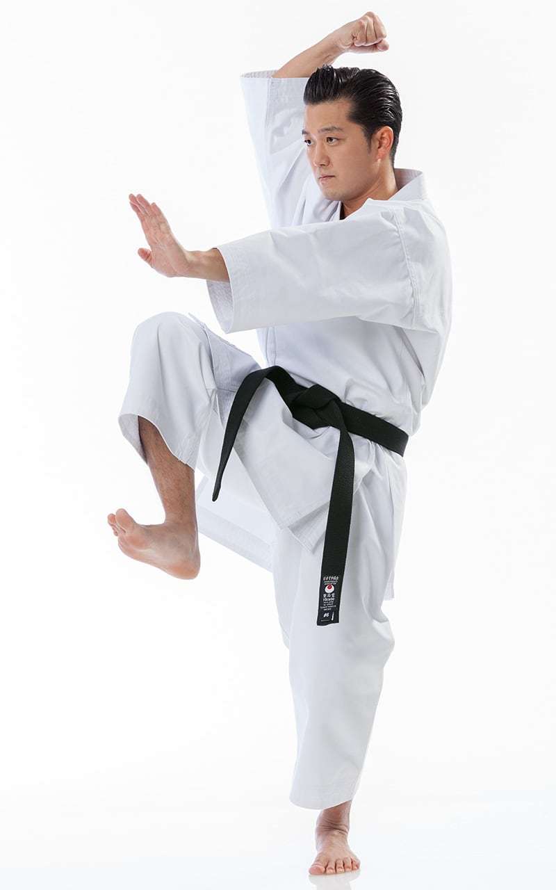 Karate Gi, TOKAIDO Kata Master Japan Style, WKF, 12 oz. | Karate ...